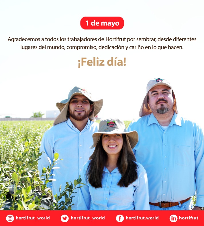 Home | Hortifrut
